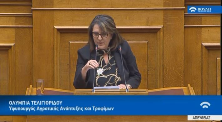 » Ολυμπία Τελιγιορίδου: «Για τίποτε δεν αναλαμβάνετε καμία ευθύνη γιατί ...