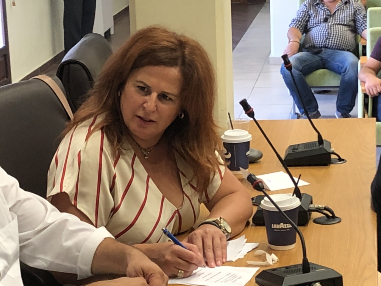 » kozan.gr: «Ο Δήμος Κοζάνης από πρωταγωνιστής …ουραγός – Έχω δει ...