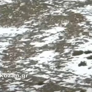 kozan.gr: Εικόνες, περίπου 800 μέτρα μακρυά, από το σημείο που ...