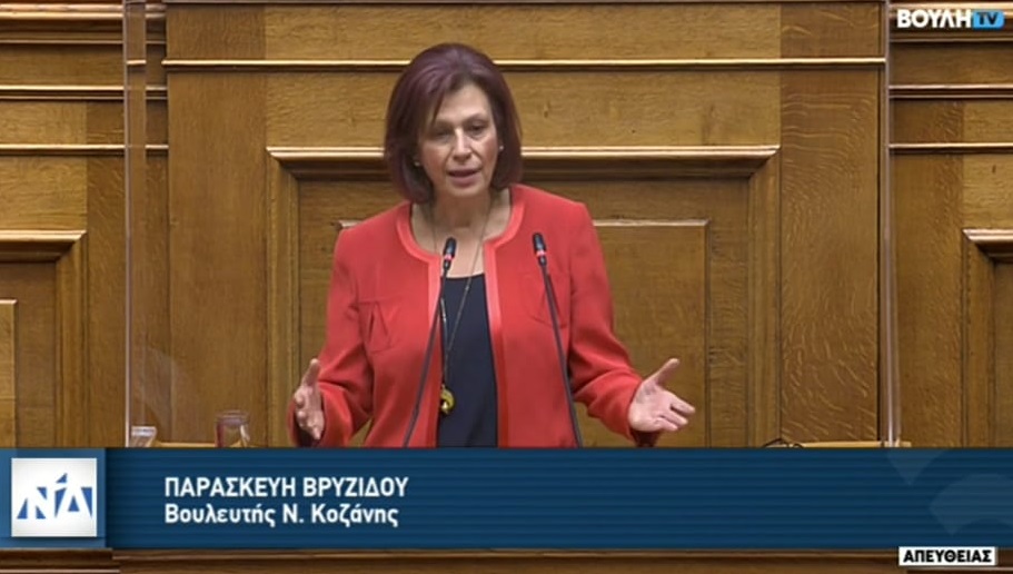 » Ομιλία της Π. Βρυζίδου κατά τη συζήτηση στη Βουλή για τον Αναπτυξιακό ...