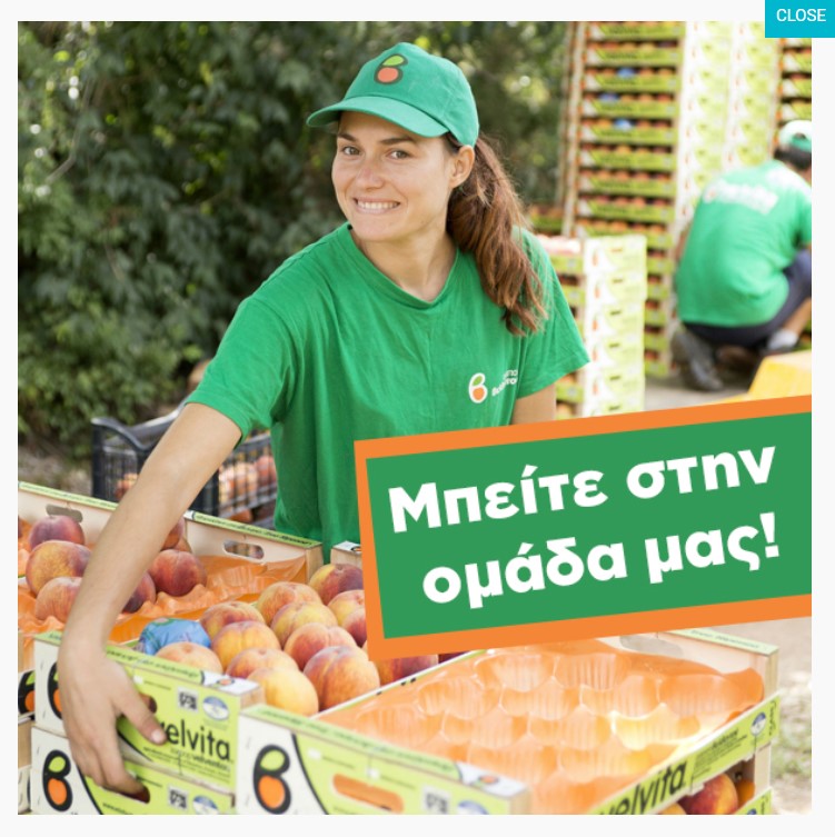 » Ο αγροτικός συνεταιρισμός ΑΣΕΠΟΠ ΒΕΛΒΕΝΤΟΥ προτίθεται να απασχολήσει ...