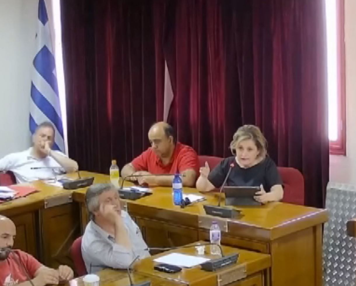 » kozan.gr: Kριτική από την Α. Τερζοπούλου στο Δημόσιο Απολογισμό ...