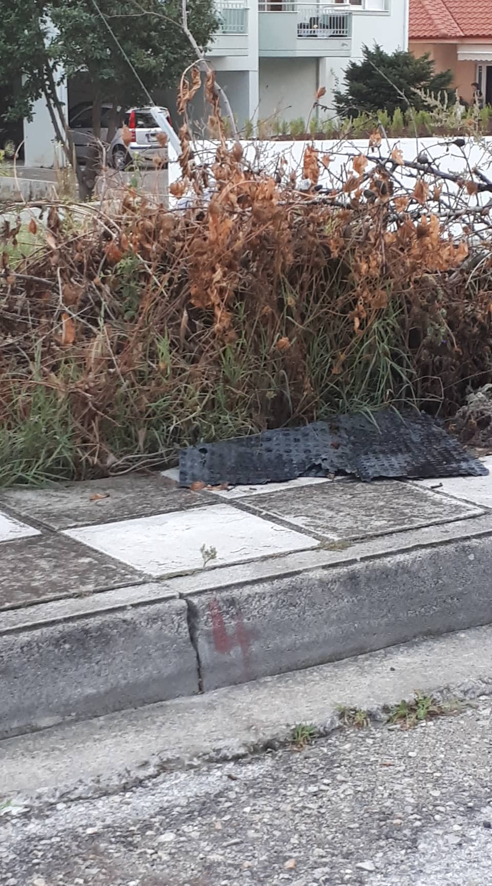 » Σχόλιο αναγνώστη στο kozan.gr: Mπάζα, σκουπίδια και διάφορα άλλα σε ...