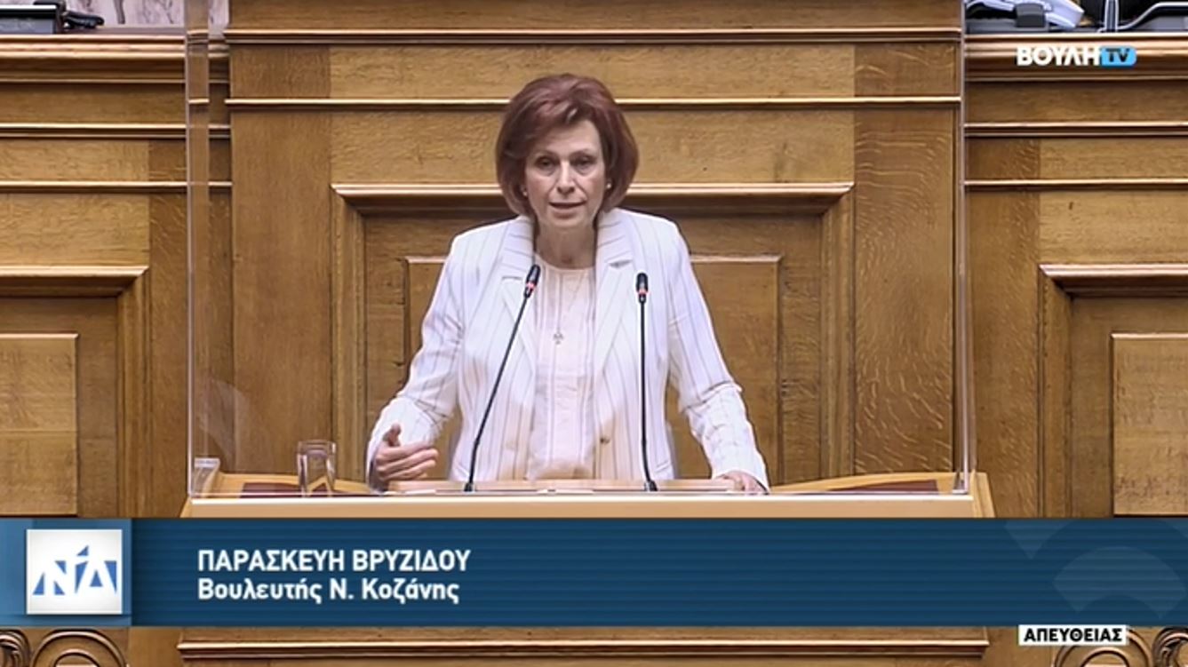 » Ομιλία Παρασκευής Βρυζίδου στο ν/σ του Υπουργείου Δικαιοσύνης ...