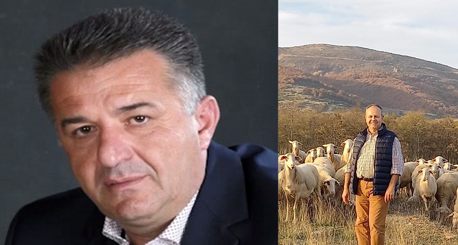 » Επιστολή Αντιπεριφερειαρχών Αγροτικής Ανάπτυξης και Πολιτικής ...