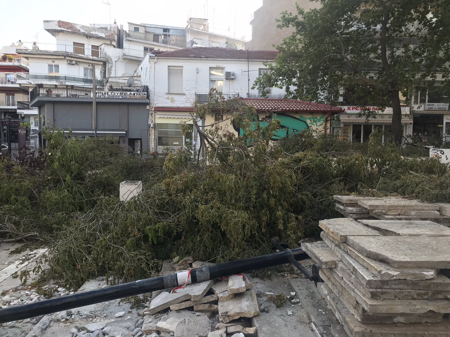 » Εγκληματικό λάθος η κοπή όλων των δένδρων στην Πλατεία Λασσάνη ...