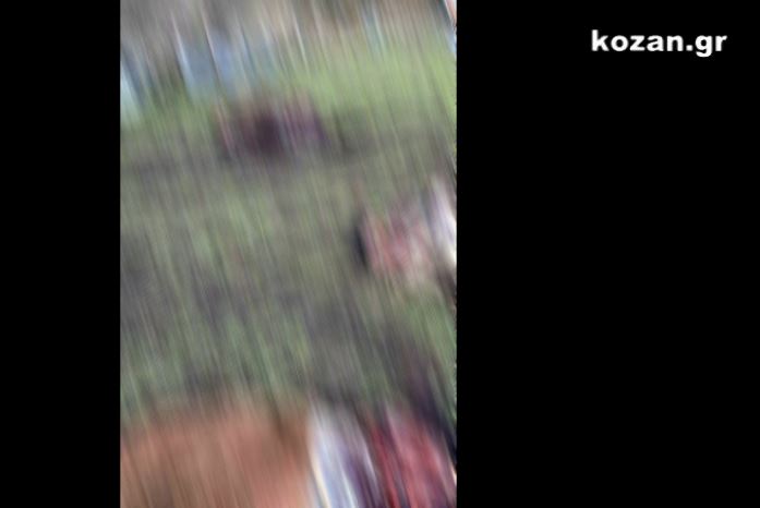 » kozan.gr: Χελιμόδι Σαμαρίνας Γρεβενών: Αποτροπιασμός κι αγανάκτηση – Άγνωστοι πυροβόλησαν και ...