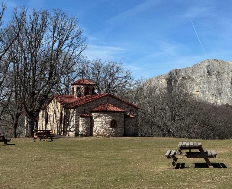 » parallaximag.gr: Πάρκο ελαφιών Αγίου Παντελεήμονος στον Άγιο Δημήτριο ...