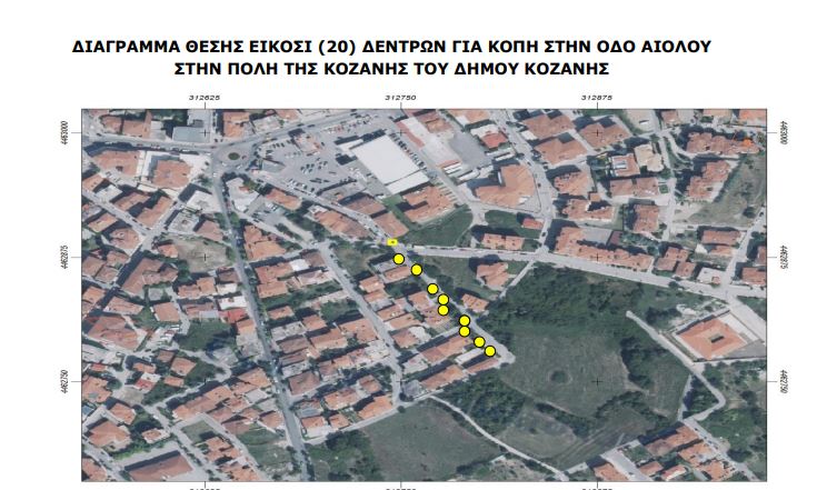 » kozan.gr: Ομόφωνα «ναι» από το Δημοτικό Συμβούλιο Κοζάνης για την κοπή 20 δέντρων στην οδό ...